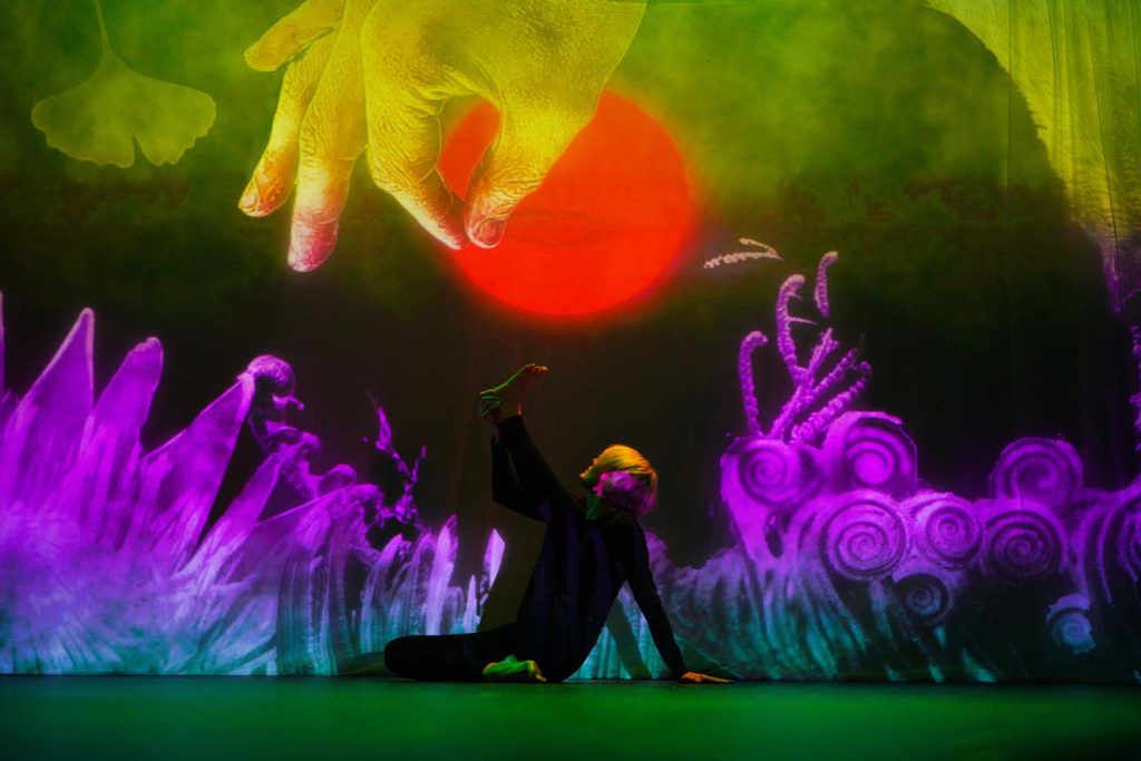 SEE ALL UPCOMING PRESENTATIONS